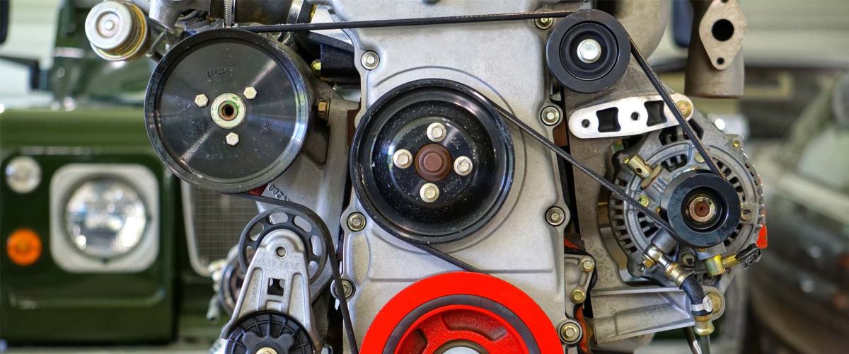 Meadows Analysis – Sonya Dalrymple